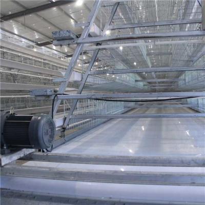 China High Durability Automated Poultry Equipment , Efficient Poultry House Equipment for sale