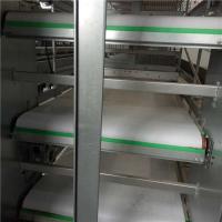 China Hot Galvanized Surface Automatic Manure Removal System IS9001 Certification for sale