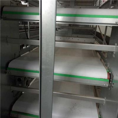 China Hot Galvanized Surface Automatic Manure Removal System IS9001 Certification for sale