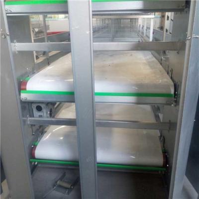China 380V Manure Removal Equipment , 120 * 120 * 70cm Chicken Poultry Equipment for sale