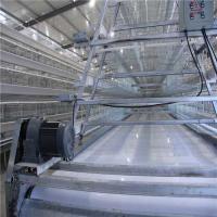 China Q235 Steel Wire Automatic Manure Removal System Hot Galvanized Material for sale