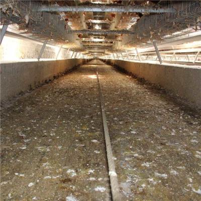 China Steady Performance Automatic Manure Removal System 0.75kw Power Long Warranty for sale