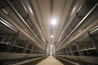 China High Working Efficiency Wire Breeding Cages Easy Cleaning Environmental Friendly for sale