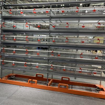 China Enriched Wire 5 Cell 128 Birds Layer Chicken Cage for sale