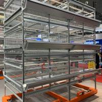 China Manure Removal 160 Birds / Set 195*45*41cm Layer Chicken Cage for sale