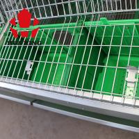 China Hot Dipped Galvanized Meat Rabbit Battery Poultry Cage Commercial Rabbit Farm Cage Equipments Battery Rabbit Cage for sale