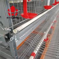 China Labor Saving Husbandry Equipments Large Scale Modern Farm Quail Cage for sale