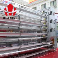 China 192 Birds Fully Automatic Baby Chick Battery Poultry Cage For Raise Chicken for sale