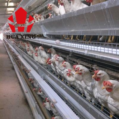 China Cage Manufacturer 90 - 160 Birds Hot Galvanized Laying Hen Farming Equipments Layer Chicken Cage for sale