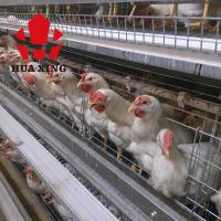 China Cage Manufacturer 90 - 160 Birds Hot Galvanized Laying Hen Farming Equipments Layer Chicken Cage for sale