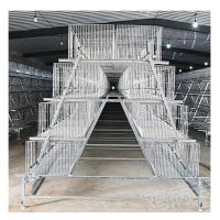 China Feeding System 256 Birds Layer Egg Chicken Cage For Laying Hens for sale