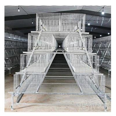 China Feeding System 256 Birds Layer Egg Chicken Cage For Laying Hens for sale