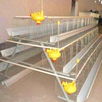 China 195*35*38cm 90 Birds Layer Chicken Cage Poultry Farm Equipment for sale