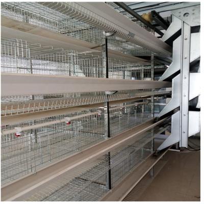 China H Type 128 Birds 4 Layer Battery Cage Poultry Farming Equipment for sale