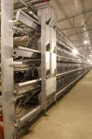 China 4 tier Chicken Egg Poultry Farm Cage Hot Dip Galvanized Walking Feeder Machine for sale