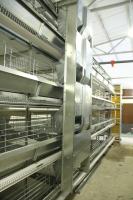 China 4 tier Chicken Egg Poultry Farm Cage Hot Dip Galvanized Walking Feeder Machine for sale