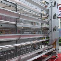 China 4 tier Chicken Egg Poultry Farm Cage Hot Dip Galvanized Walking Feeder Machine for sale