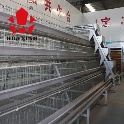 China A Type Layer Poultry Battery Cage Design Q235 Hot Dip Galvanized Steel Wire for sale