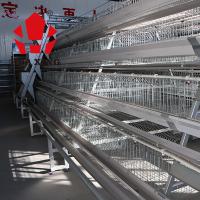 China A Type Layer Poultry Battery Cage Design Q235 Hot Dip Galvanized Steel Wire for sale