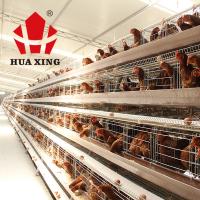 China A Type Layer Poultry Battery Cage Design Q235 Hot Dip Galvanized Steel Wire for sale