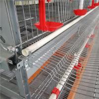 China Labor Saving Husbandry Equipments Large Scale Modern Farm Quail Cage for sale