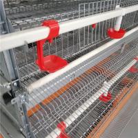 China Labor Saving Husbandry Equipments Large Scale Modern Farm Quail Cage for sale