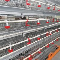 China Labor Saving Husbandry Equipments Large Scale Modern Farm Quail Cage for sale