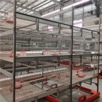 China U Shape Steel Broiler Chicken Cage With PVC Pipe , Nipple Drinker for sale