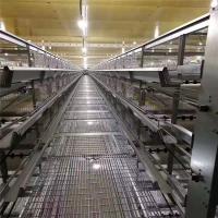 China A Type 198 Birds Layer Chicken Cage Poultry Farming Equipment for sale