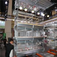 China Q235 Steel Galvanized 1 Day Old Baby Chick Cage 20 Years Anti Rust for sale