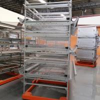China Durable Automatic Duck Cage Factory Commercial Duck Cage For Eggs for sale