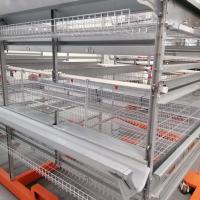 China Durable Automatic Duck Cage Factory Commercial Duck Cage For Eggs for sale