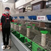 China Hot Dipped Galvanized Meat Rabbit Battery Poultry Cage Commercial Rabbit Farm Cage Equipments Battery Rabbit Cage for sale