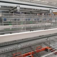 China Layer Poultry Farm Equipments U Shape Frame 3 Tier Battery Chicken Cage System For Laying Egg Farms for sale