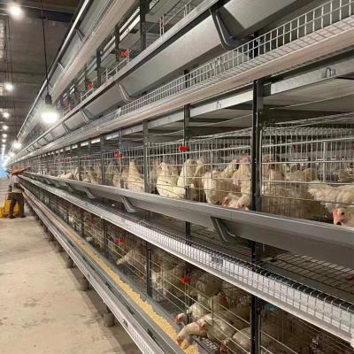 China Fully Automatic Battery H Type Layer Chicken Cage For Laying Chicken Farms for sale