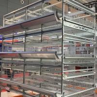 China Fully Automatic Battery H Type Layer Chicken Cage For Laying Chicken Farms for sale