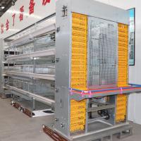 China 4Tiers 160Birds Uzbekistan Layer Chicken Poultry Cage South Africa Automatic Battery Cage for sale