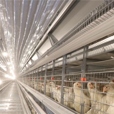 China SGS Egg Battery Layer Chicken Cage Poultry Farm Corrosion Resisting for sale