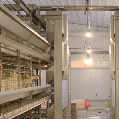 China Custom Logo 160 birds / set Layer Chicken Cage For Poultry Factory for sale