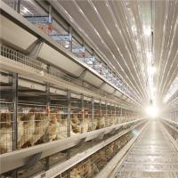 China Poultry Farming galvanized Egg Layer Chicken Cage For 5000 Birds for sale