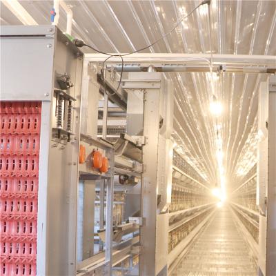 China H Type 256 Birds / Set Automated Battery Cage System Poultry Farming for sale