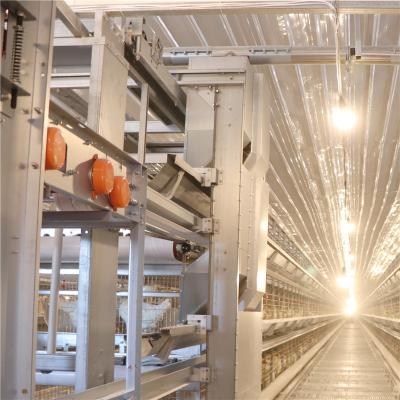 China 6 tier 192 Birds / Set Automatic Battery Cage System Layer Chicken for sale