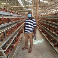 China 4tiers 128/160birds layer chicken battery poultry cage Commercial chicken poultry cage for sale