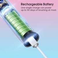 China Best Hot Sell Ivismile Blue Light Whitening Led Portable Travel Smart Toothbrush Electric With Brush And Charger for sale