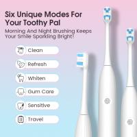 China USB Rechargeable Ultrasonic Electric Toothbrush Adults Portable Travel Sonic Toothbrush for sale