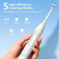 China Eco Friendly Quality Private Label IPX7 Portable Smart Electric Adult Toothbrush Sets for sale