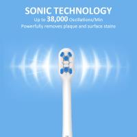 China Eco Friendly Quality Private Label IPX7 Portable Smart Electric Adult Toothbrush Sets for sale