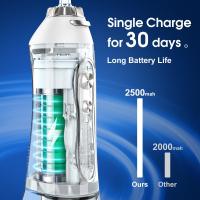 China New Trend Smart Best Water Dental Flossers Portable Water Flosser Teeth Cleaning Custom Oral Irrigator for sale