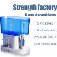 China Electric Countertop Water Flosser with 1000ml Water Tank 30-110PSI Adjustable Pressure and 1 Year Warranty for Household Dental Care for sale