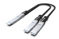 China 200G QSFPDD to 2x100G QSFP28 Breakout DAC(Direct Attach Cable) Cables (Passive) 1M 200G QSFPDD DAC for sale